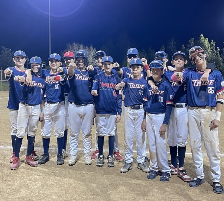 Home of GT Tribe Baseball Club – Premiere Youth Baseball Organization ...